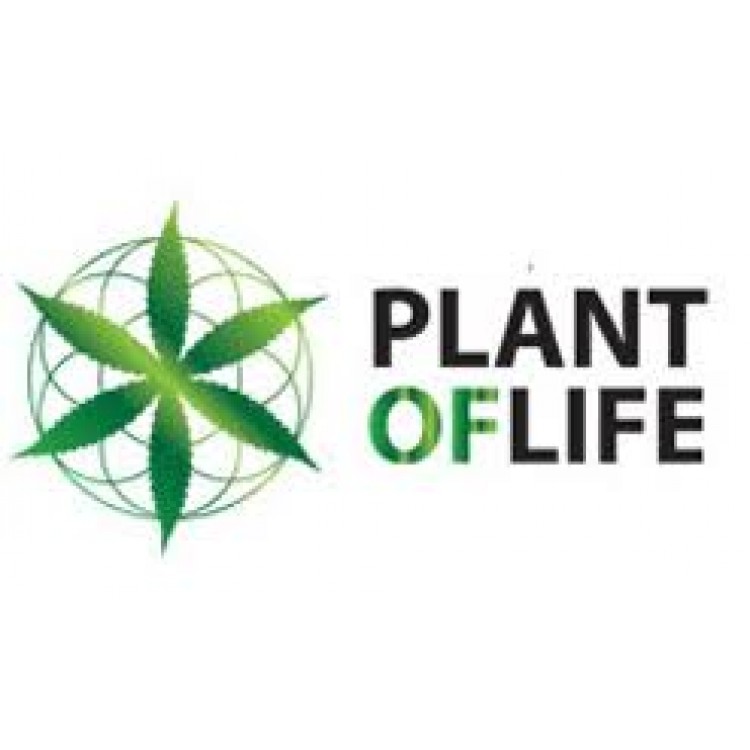 Plant Of Life Solid 10% CBD Raw Natural Extraction - 1gr